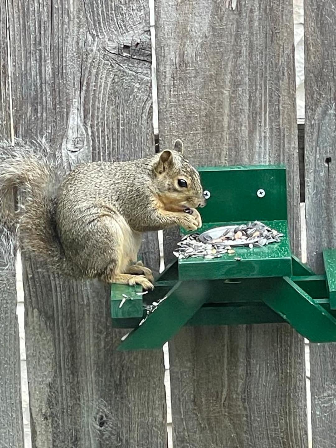 Handmade Squirrel Picnic Table Green Picnic Table for Squirrel Fence ...