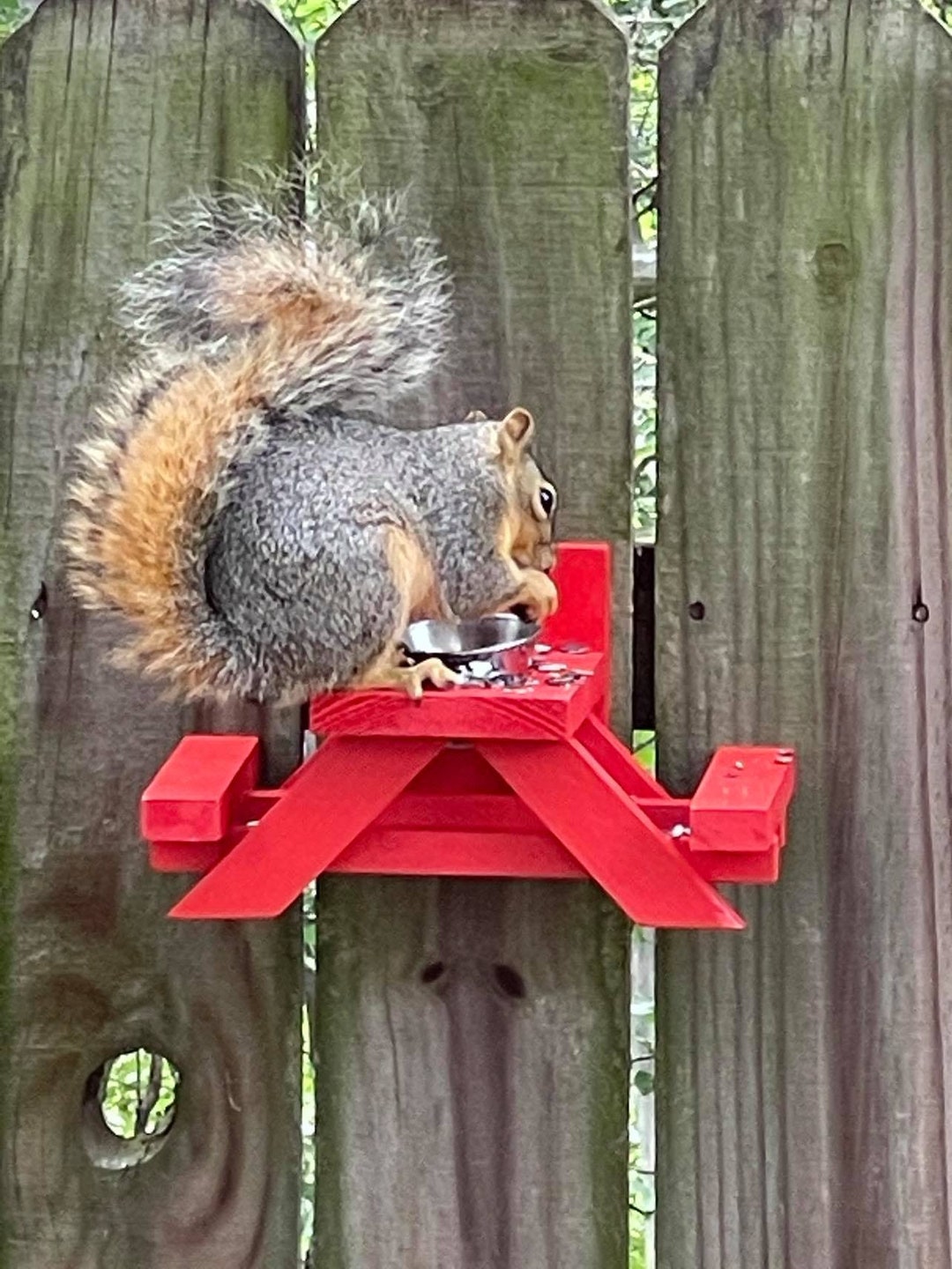 Squirrel Picnic Table, Squirrel Feeder, Picnic Table for Squirrel ...