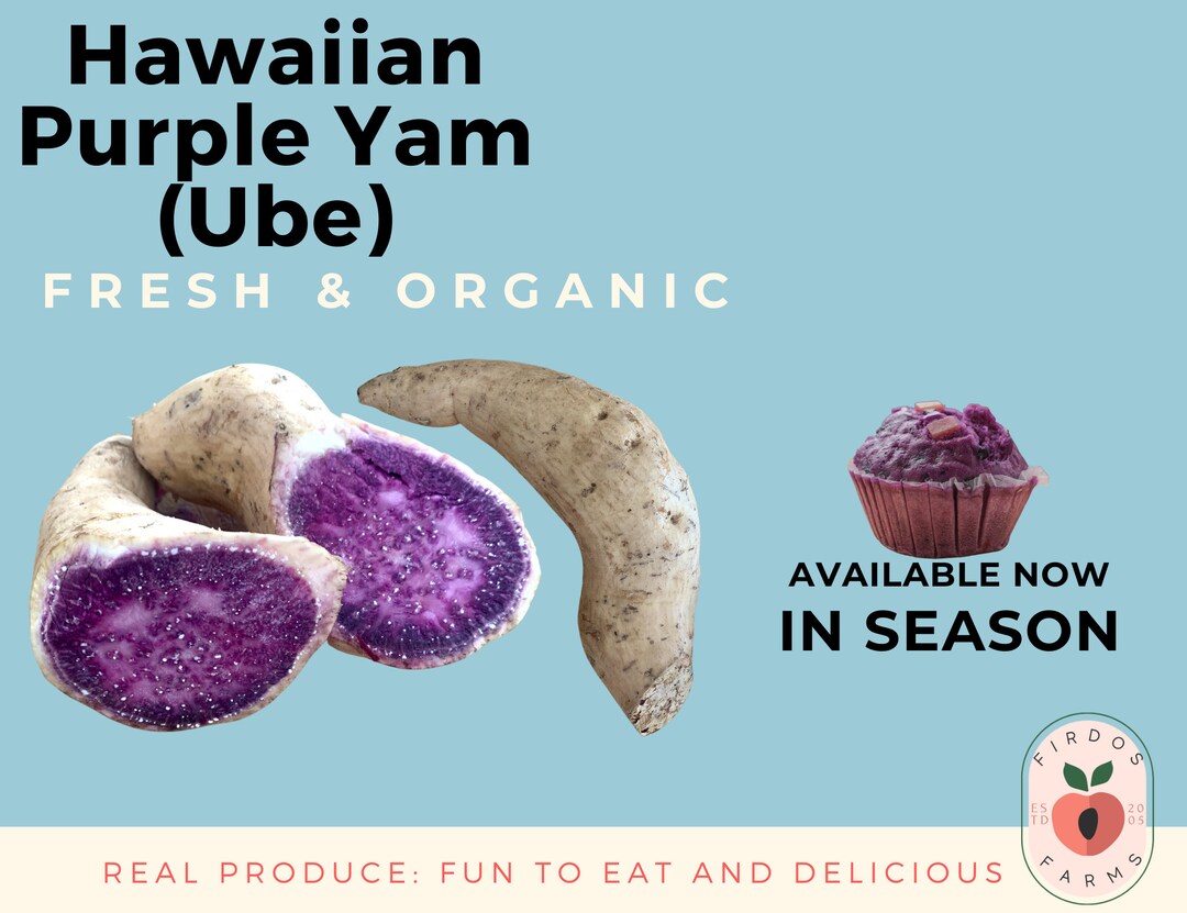 Fresh Hawaiian Purple Sweet Potatoes Ube Yam / FAST SHIPPING - Etsy