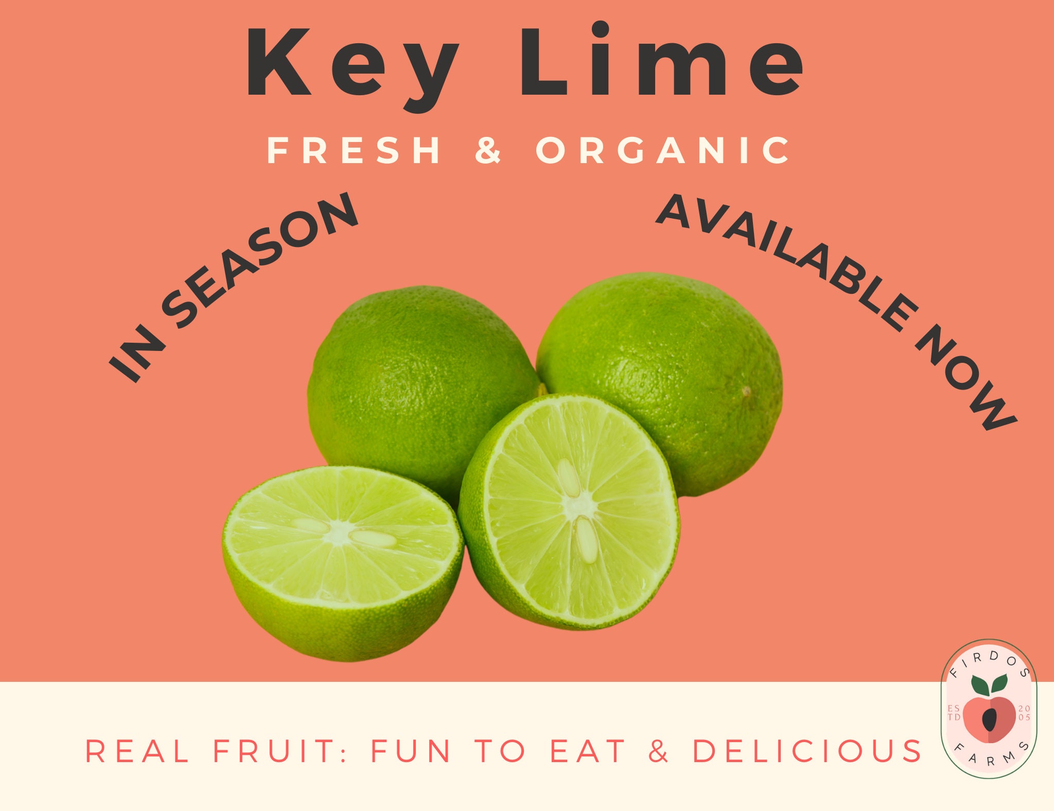 Organic Fresh Key Lime / the Real Fruit / Free & Fast Shipping - Etsy
