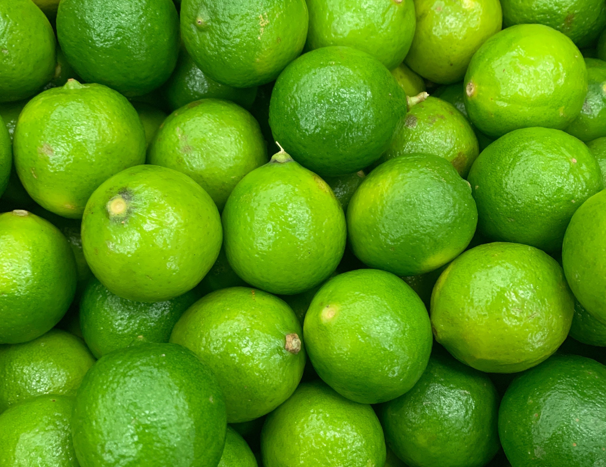 Organic Fresh Key Lime / the Real Fruit / Free & Fast Shipping - Etsy
