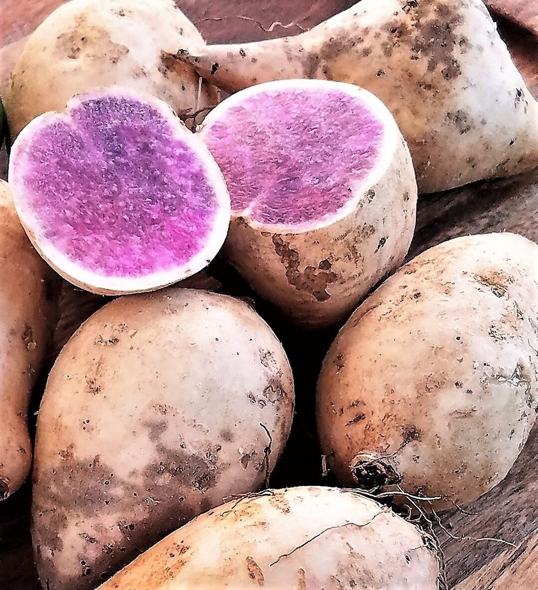 Fresh Hawaiian Purple Sweet Potatoes Ube Yam / FAST SHIPPING - Etsy