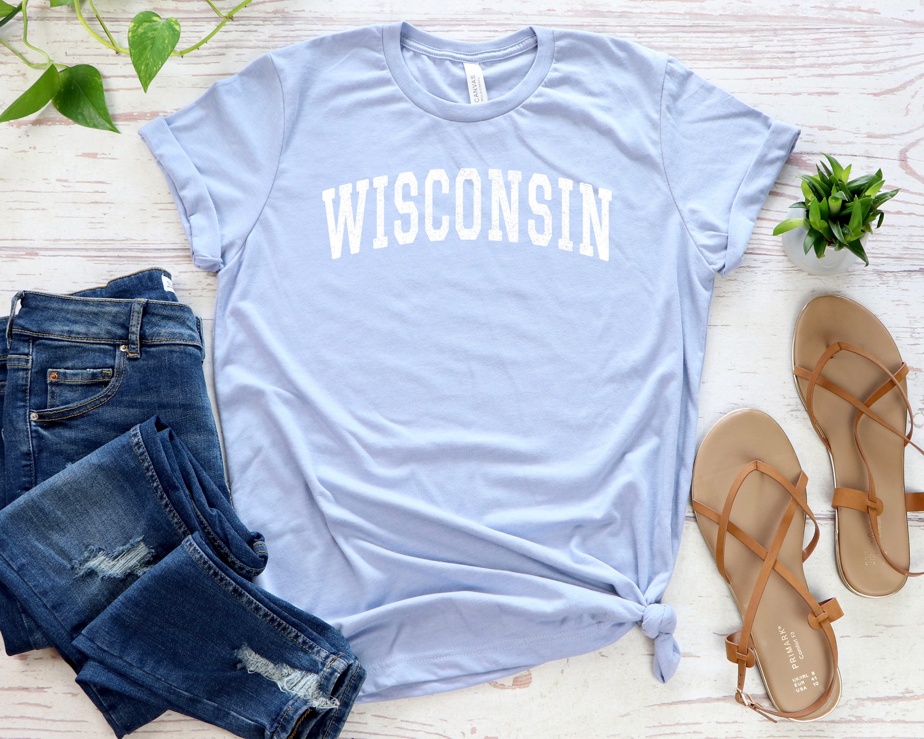 Wisconsin Shirt State Of Wisconsin T-shirt Wisconsin Gift | Etsy