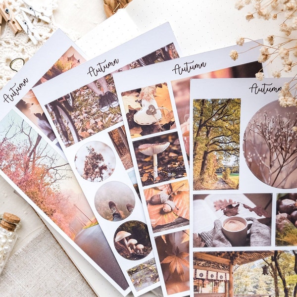 Autumn Planner Stickers - Etsy