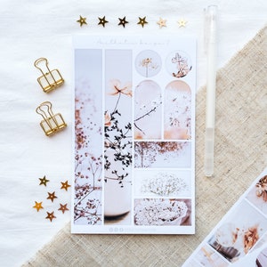 Aesthetic Vibes Stickers Beige Cream Neutral Sticker Sheet Gift for ...