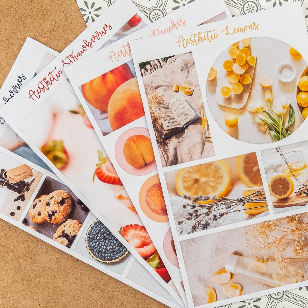 AESTHETIC FRUITS Sticker Sheet, Blueberries- Lemons -peaches ...