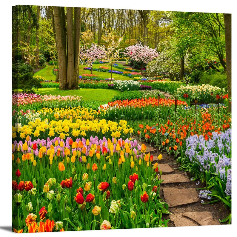 Colorful Tulips Flower Flowerbeds in Spring Garden Floral and - Etsy