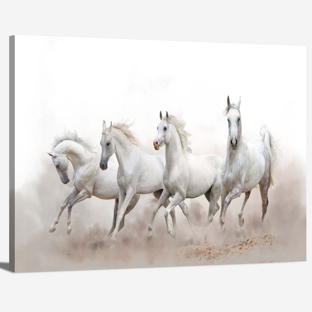 Beautiful White Arabian Horses Running in the Wild Animal Photo Nature ...
