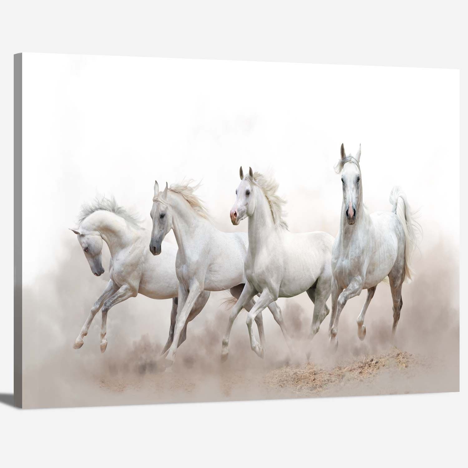 Beautiful White Arabian Horses Running in the Wild Animal - Etsy