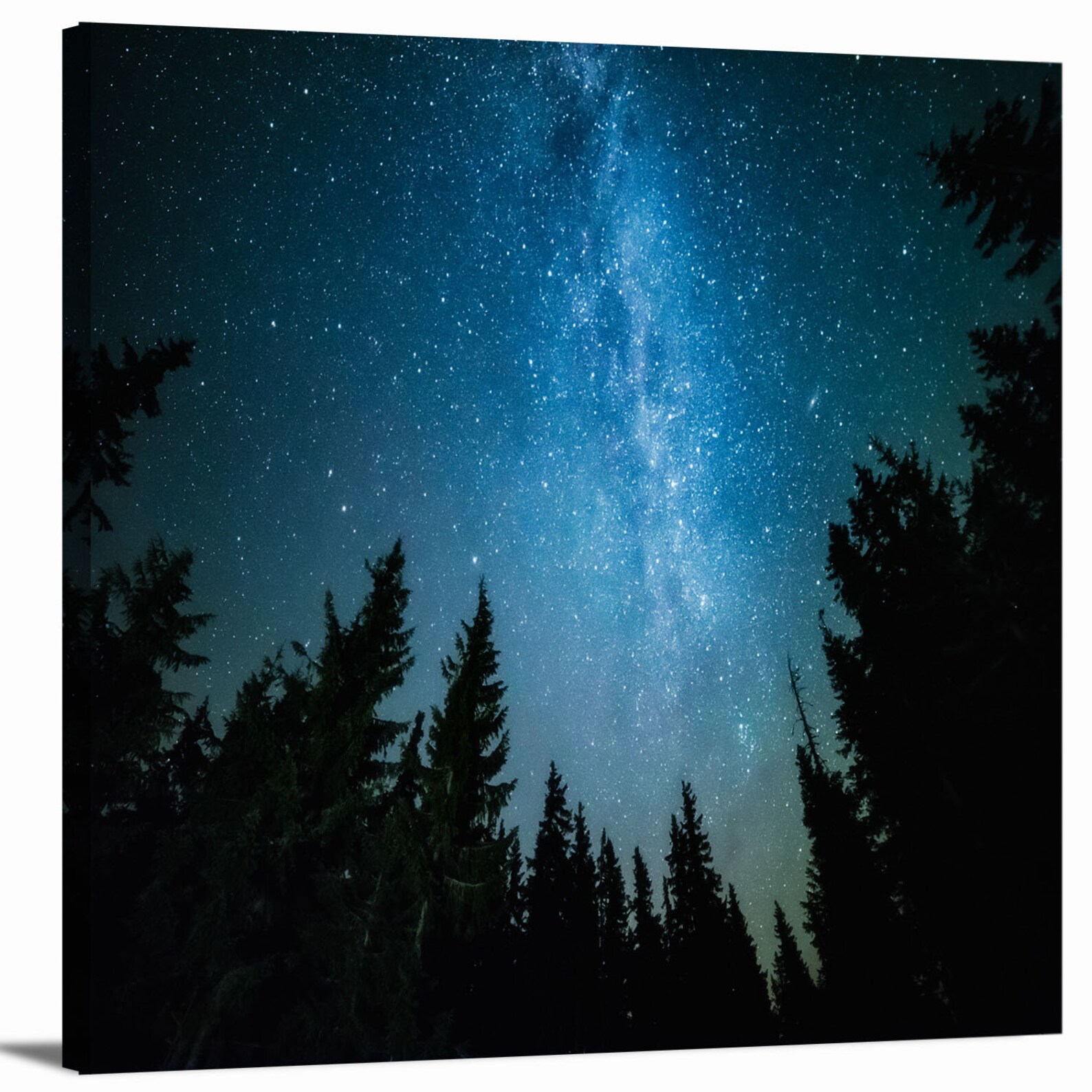 Milky Way Over Trees Forest Nature Landscape Night Sky Stars Galaxy ...