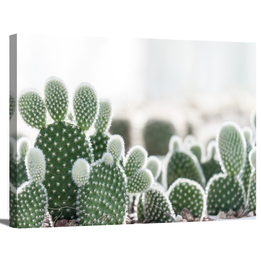 Cactus Plant Photography Poster Print Minimalist Modern Artwork Gallery ...