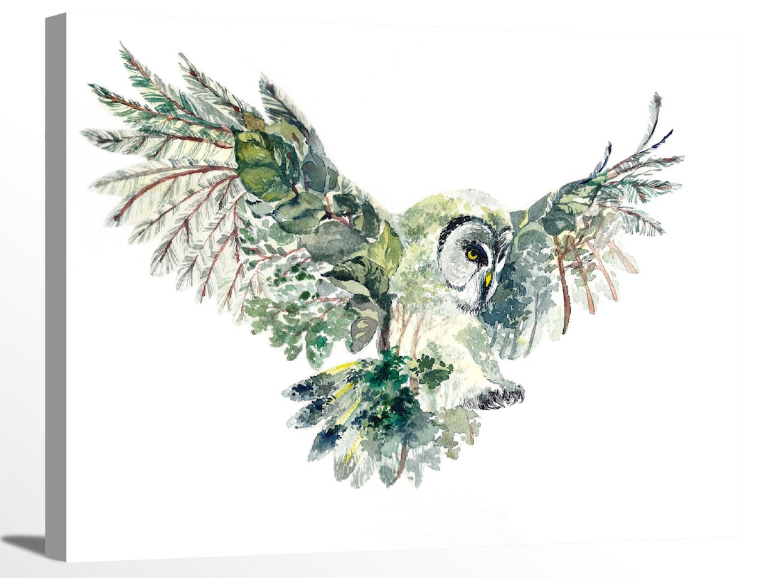 Flying Owl With Trees Leaves Forest Double Exposure Nature Animal Bird ...