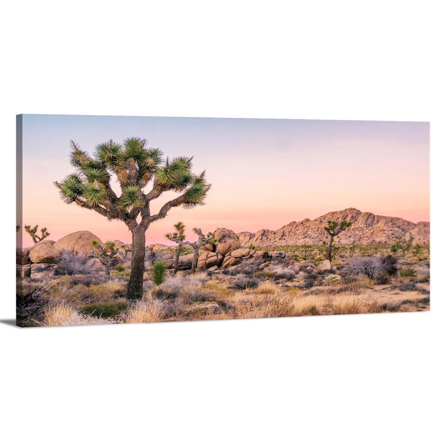 Joshua Tree Landscape in Joshua Tree National Park, CA Scenic Poster ...