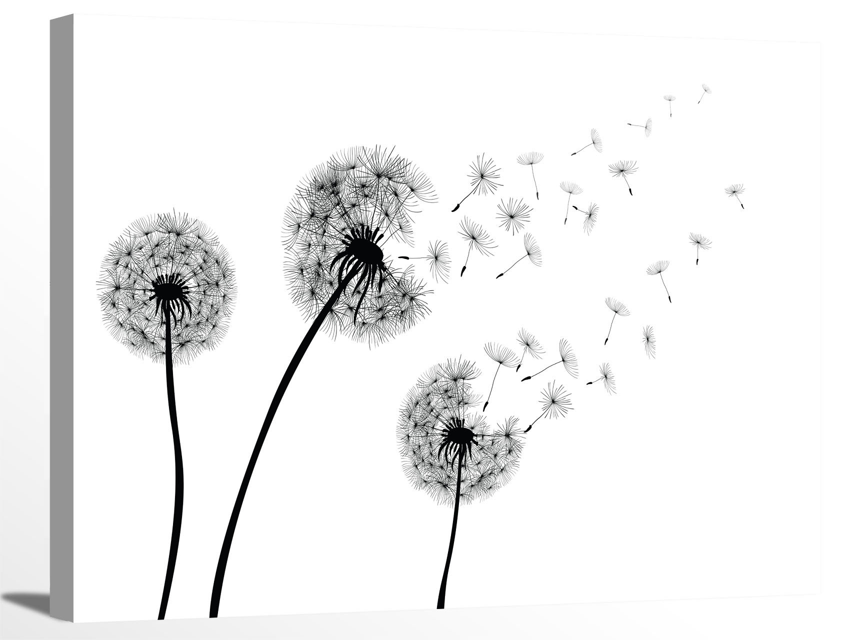 Black and White Wind Blowing Dandelion Seeds Flower Botanical | Etsy