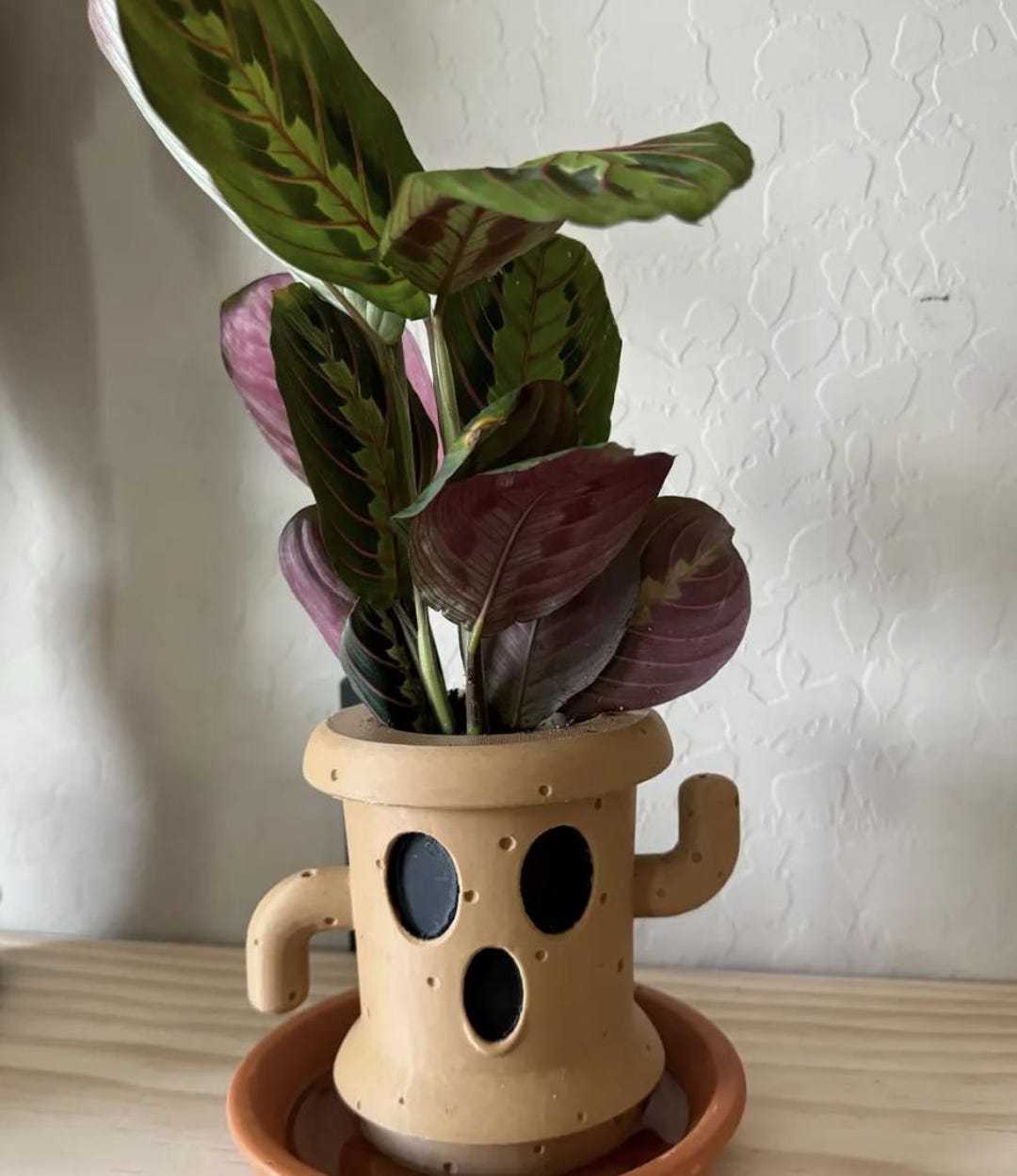 Lloid Planter, Gyroid Planter, Animal Crossing Succulent Planter ...