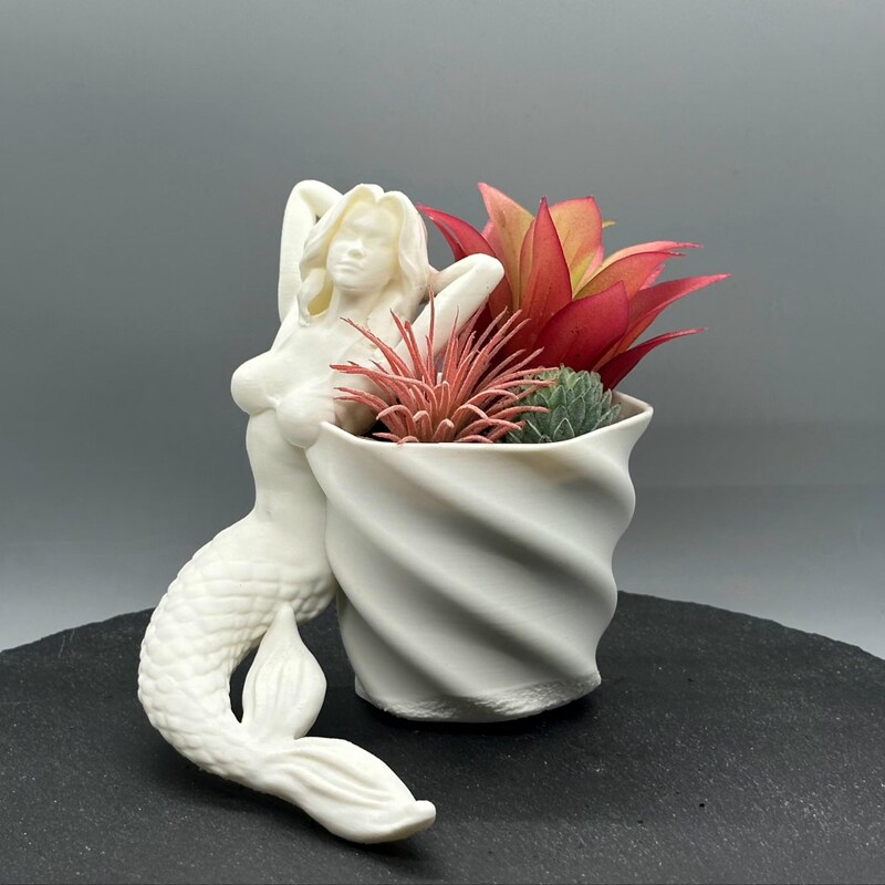 Mermaid Succulent Planter - Etsy