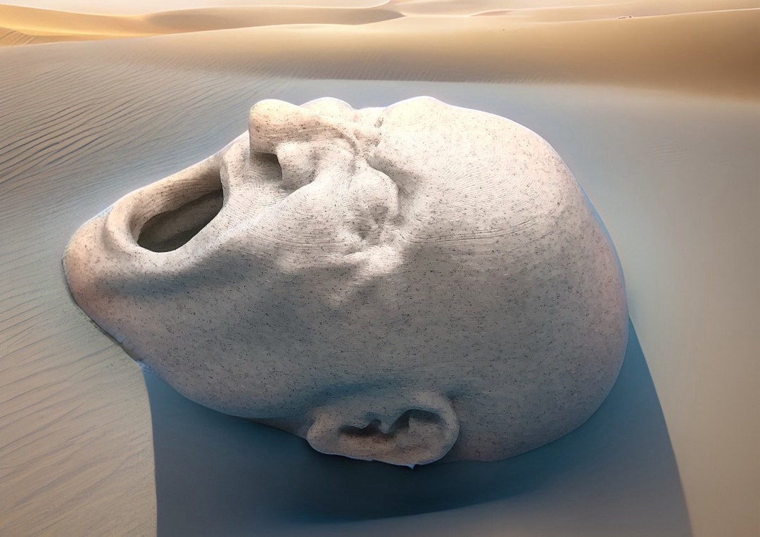 Screaming Face Planter, Screaming Succulent Pot, Air Plant Holder - Etsy