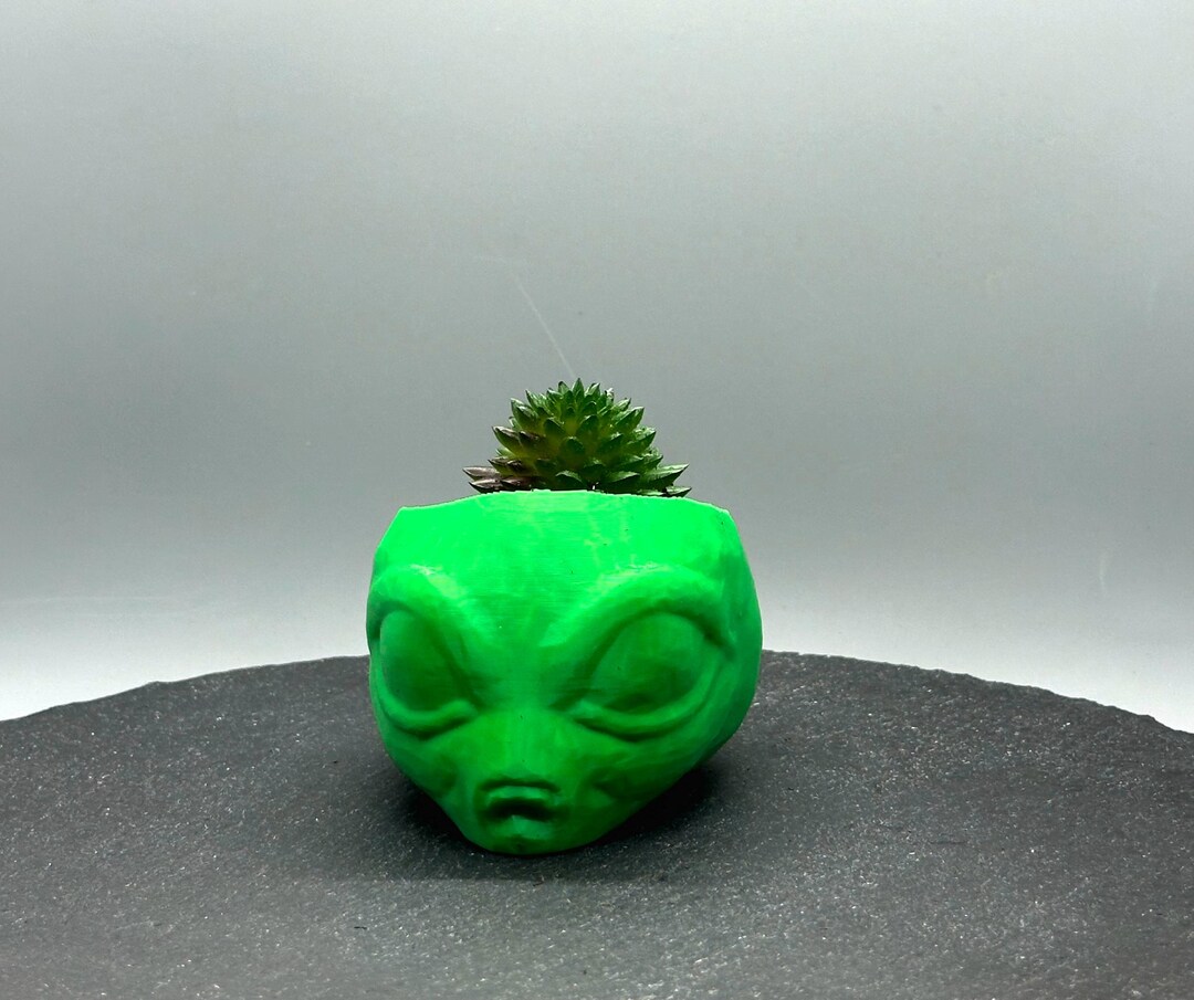 Alien Head Planter - Unique Design for Plants, Versatile Use, 3D ...
