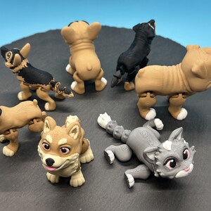 Razas de perros articulados, Shiba Inu Fidget, Rottweiler, Bulldog, Pastor alemán flexible ...