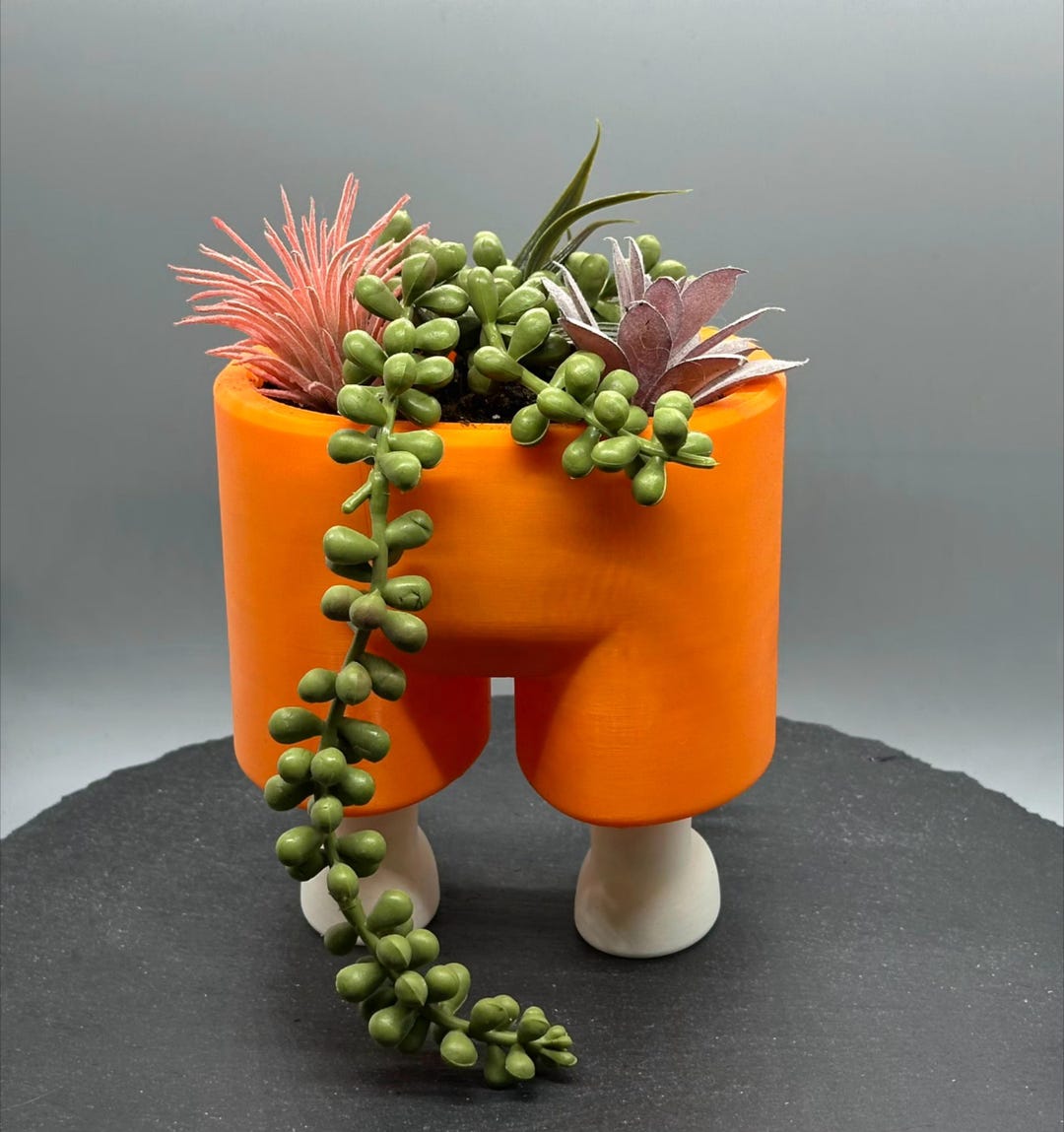Pants Planter - Unique Design for Plants, Versatile Use, 3D Printed - Etsy