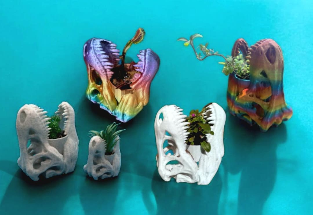 T-rex Planter, Dinosaur Plant Pot, Dino Skull Planter, Fossil Planter ...