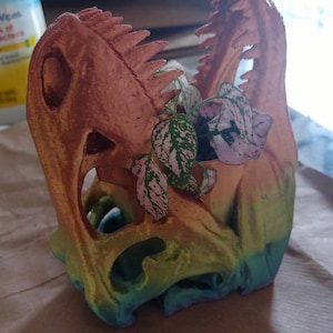 T-rex Planter, Dinosaur Plant Pot, Dino Skull Planter, Fossil Planter ...