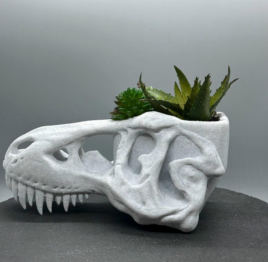 T-rex Skull Planter - Unique Design for Plants, Versatile Use, 3D ...