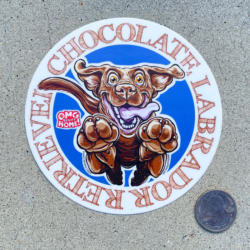 Chocolate Lab Decal - Etsy