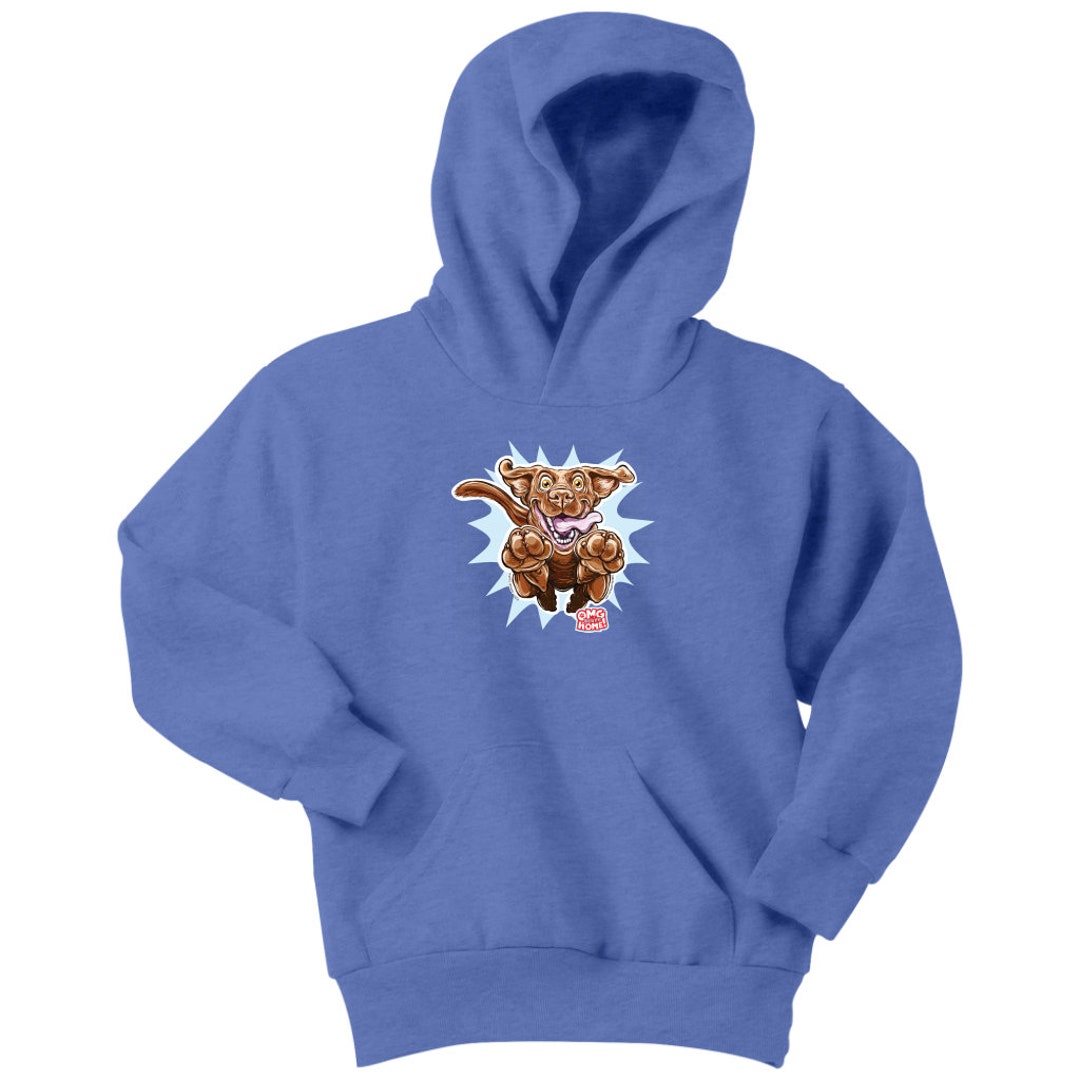 OMG Chocolate Labrador Retriever - Youth Hoodie - Perfect Chocolate Lab ...
