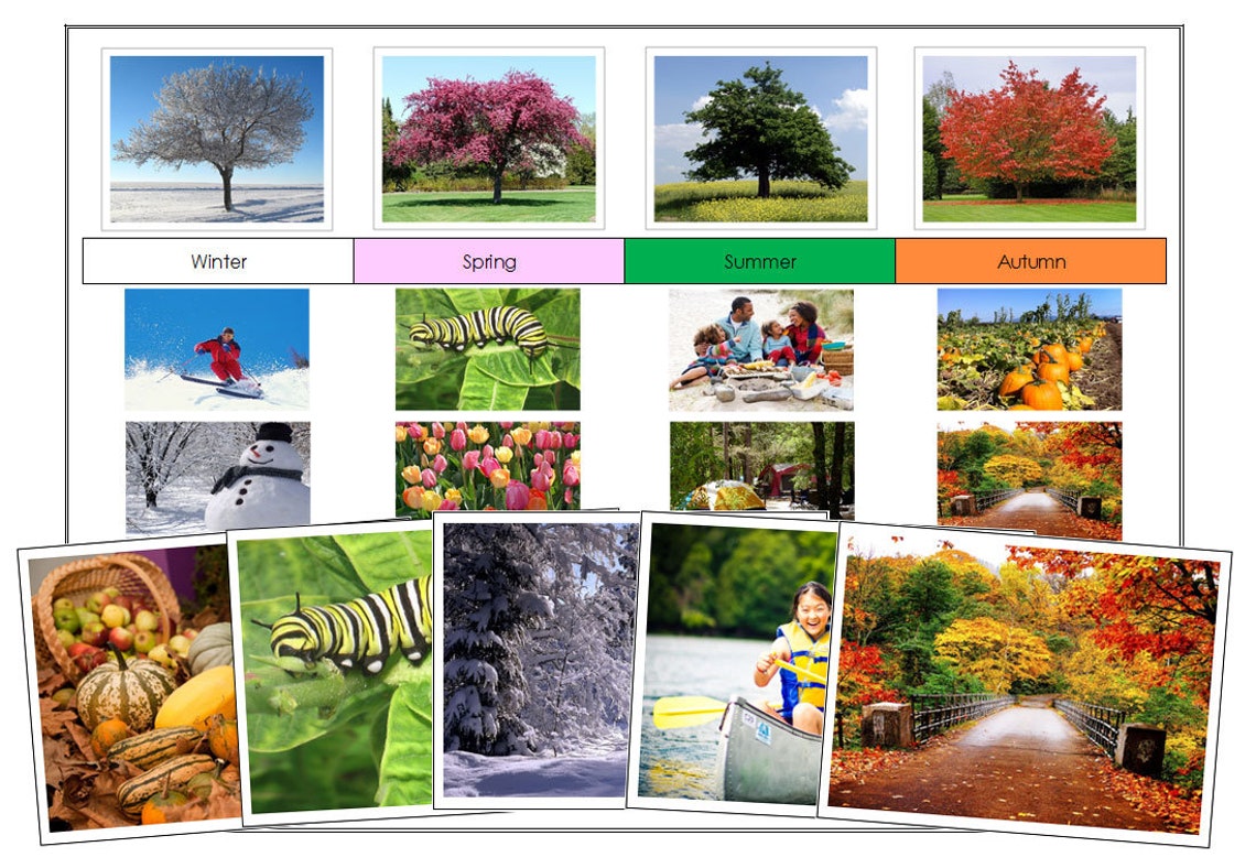 Seasonal Timeline Sorting Cards & Control Chart Preschool - Etsy