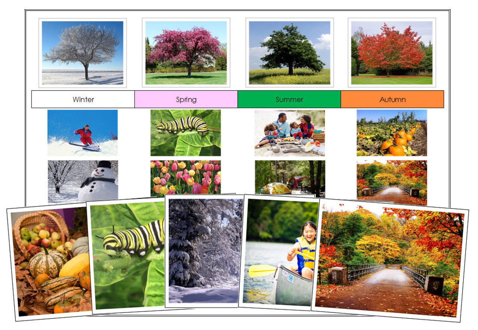 Seasonal Timeline Sorting Cards & Control Chart Preschool - Etsy