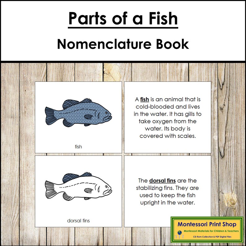 Parts of a Fish Nomenclature Book - Montessori Zoology (digital ...