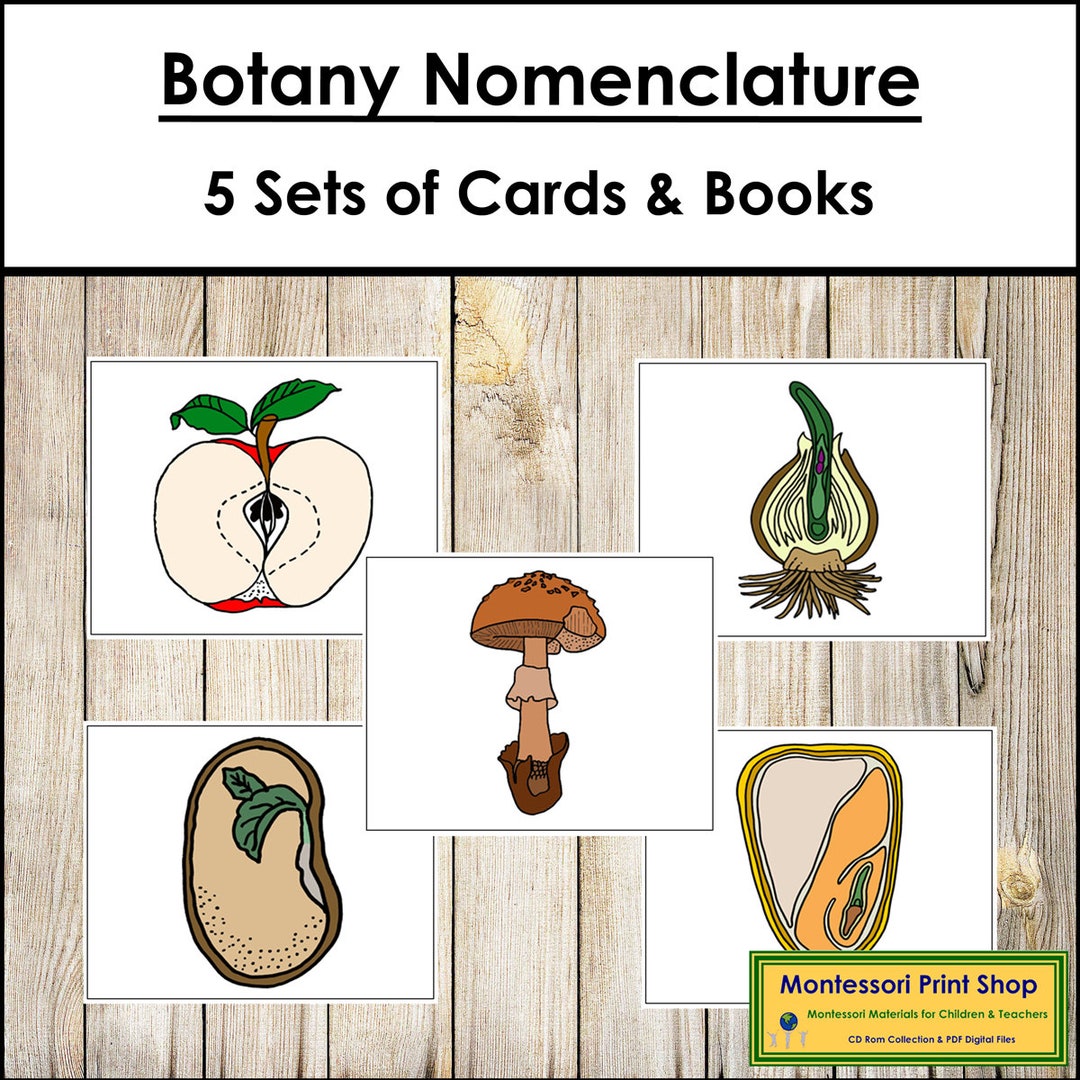 Botany Nomenclature Bundle Set 2 [3-part Cards, Blackline Masters ...