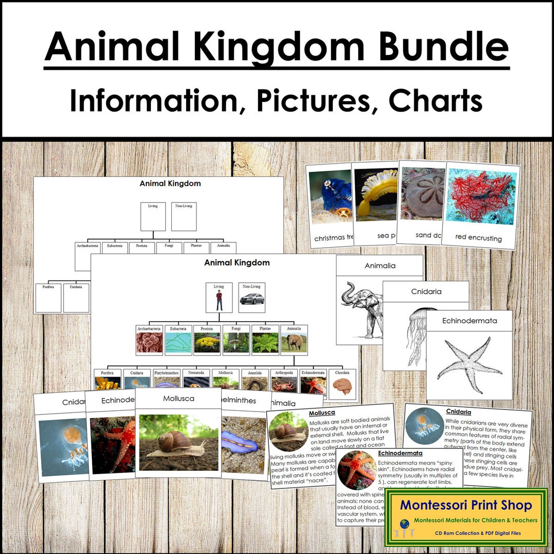 Animal Kingdom Bundle Cards & Charts - Montessori Zoology ...