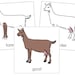 Parts of a Goat Nomenclature 3-part Cards Montessori Zoology Printable ...
