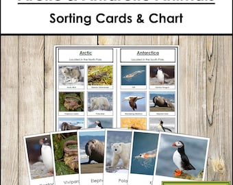 Silhouette Matching Plants and Animals of the Tundra - Etsy