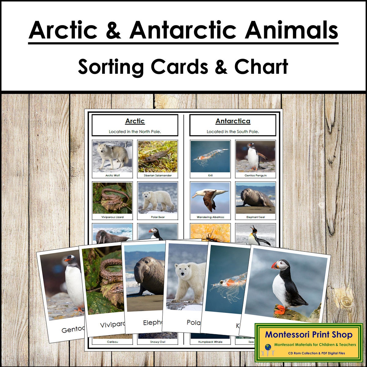 Arctic and Antarctic Animal Sorting Cards & Control Chart Zoology ...