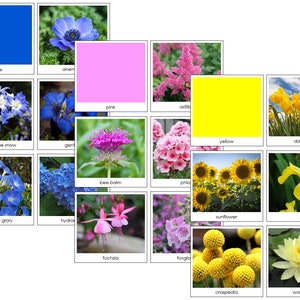 Flower Color Sorting Cards Montessori Sensorial Printable | Etsy