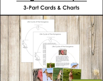 Life Cycle Bundle- Montessori 3 Part Cards - Etsy