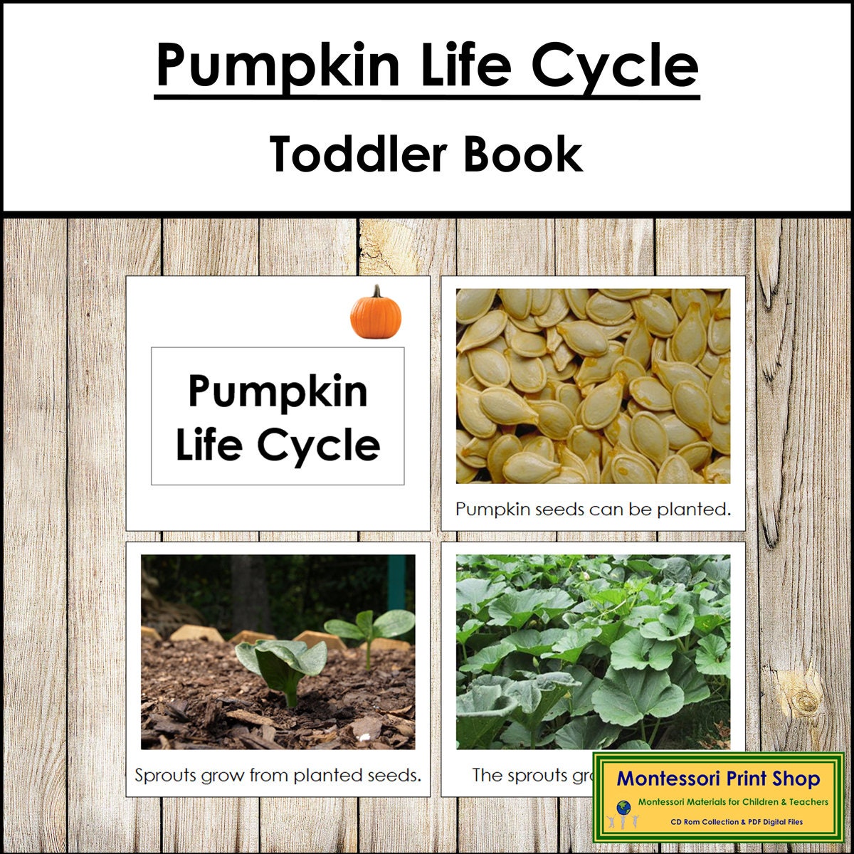 Pumpkin Life Cycle Book Printable Toddler Montessori Materials Digital ...