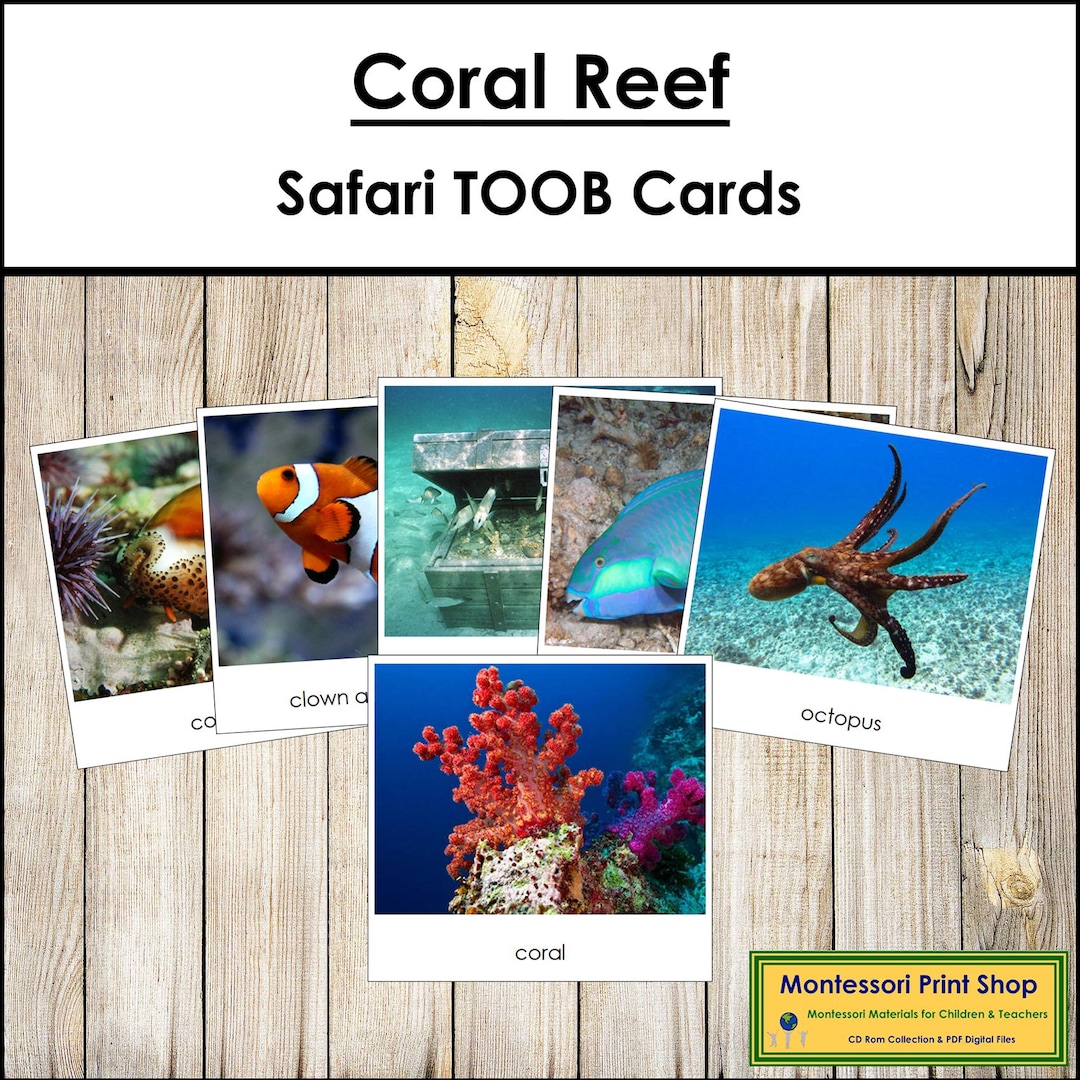 Coral Reef Safari TOOB Cards - Montessori 3-part Cards (digital ...