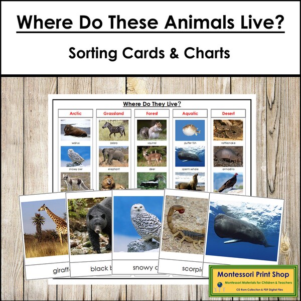 Birds and Their Eggs Sorting Cards & Control Chart Zoology - Etsy Canada