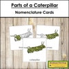 Phonetic Matching Cards Set 1 Montessori Language Printable Montessori ...
