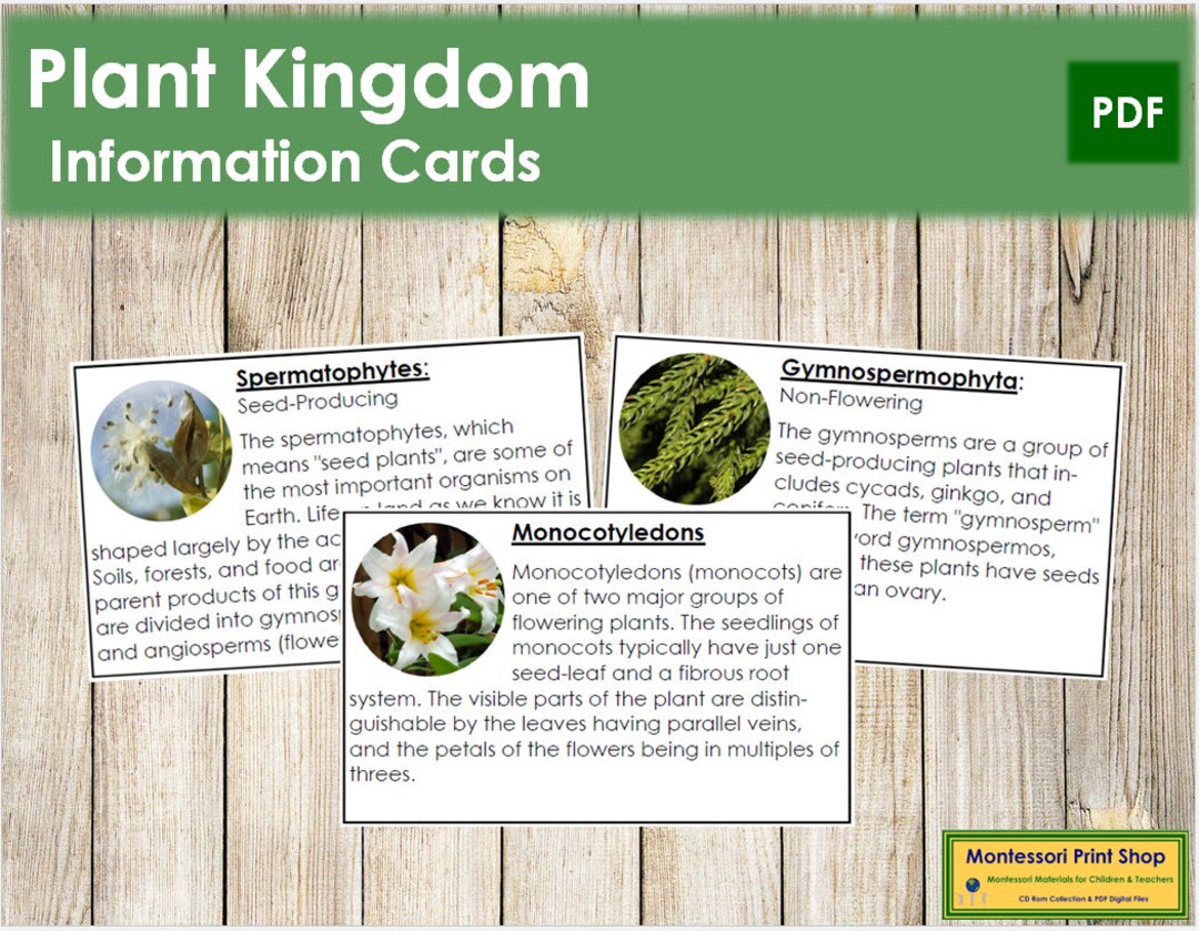 Plant Kingdom Information Cards Montessori Botany - Etsy