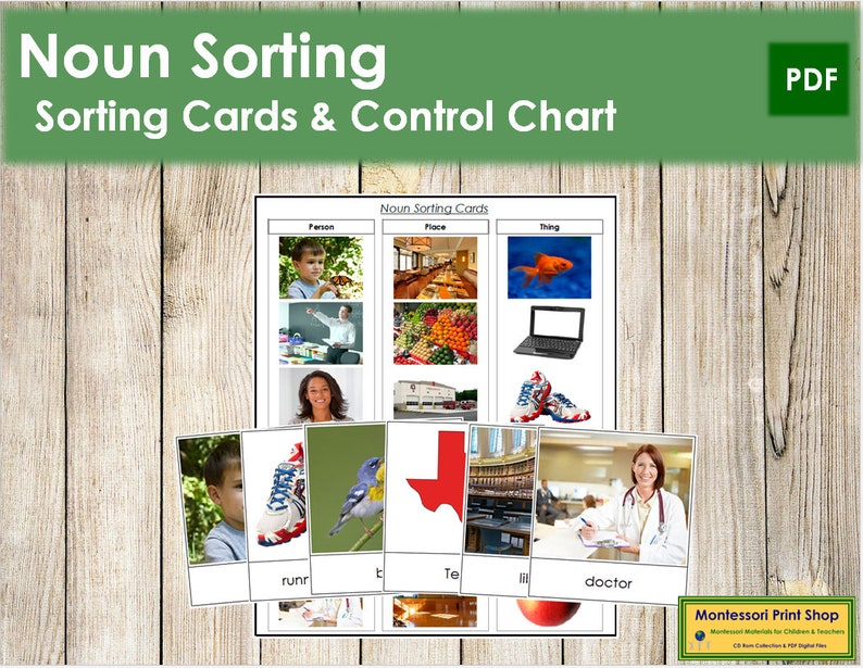 Noun Sorting Cards & Control Chart Montessori Grammar - Etsy
