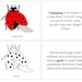 Parts of a Ladybug Nomenclature Book - Montessori Zoology - Printable ...