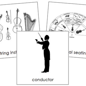Orchestra Nomenclature 3-part Cards - Music Nomenclature - Printable ...