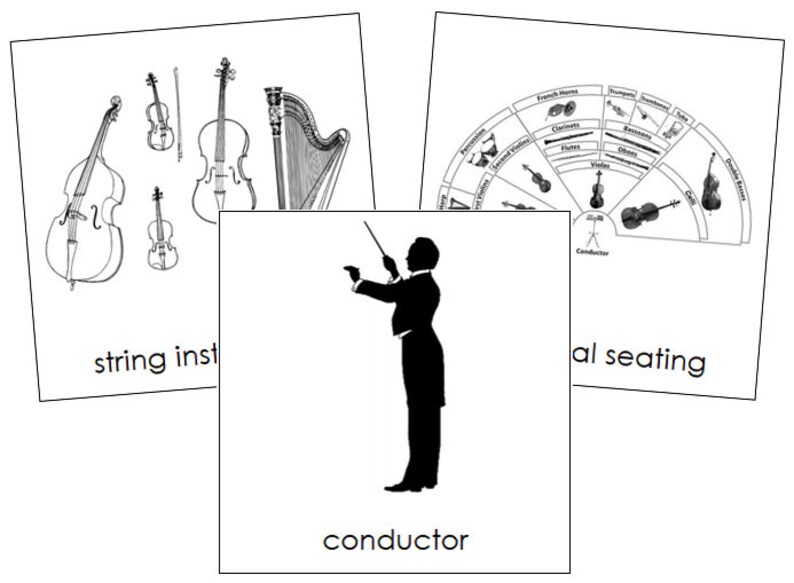 Parts of an Orchestra Nomenclature 3-part Cards [blackline Masters ...