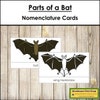 Parts of a Gray Wolf Nomenclature 3-part Cards & Blackline Master ...