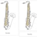 Parts of a Saxophone Nomenclature 3-part Cards & Blackline Master ...